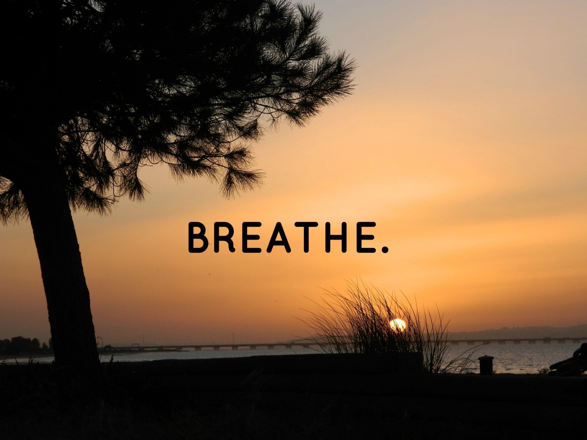 Ross Mintzer & Adessi Debut Strange-tastic Music Video for “Breathe ...